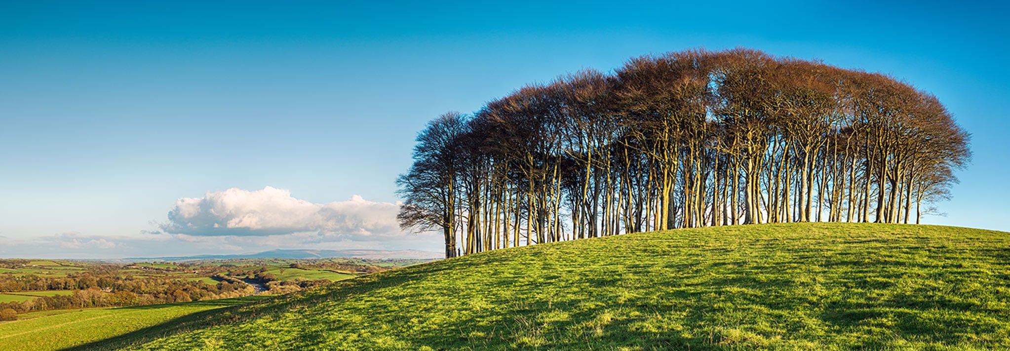 Camping pods in Devon | Top-rated by Best Devon Holidays