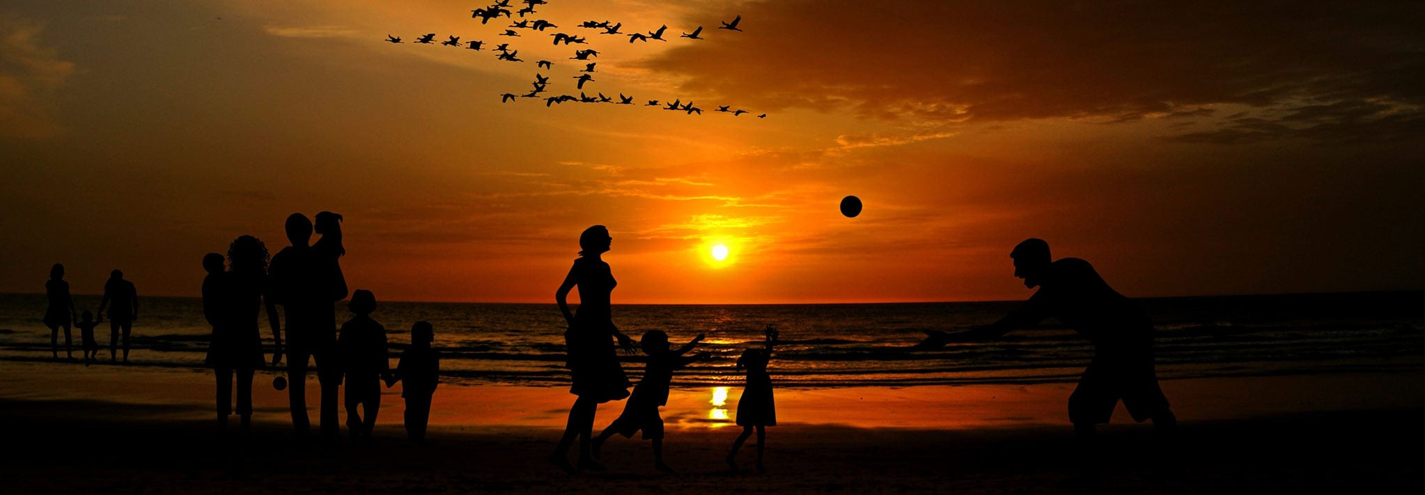 Map of Devon Tourist Attractions | Best Devon Holidays